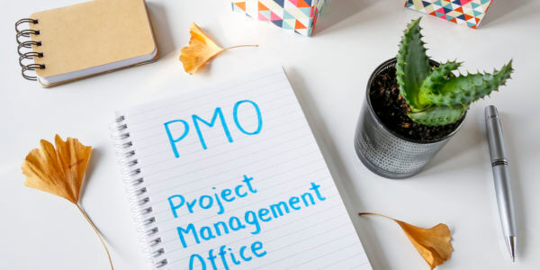 Types of PMO (Project Management Office)