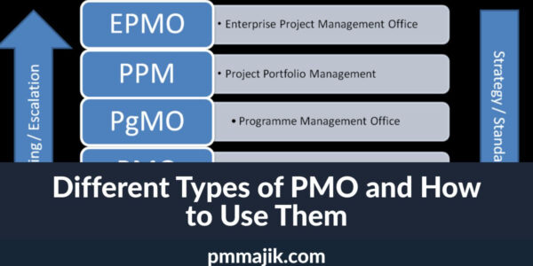 Different Types of PMO and How to Use Them